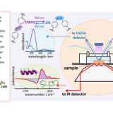 PhD fellowship (FPI) in membrane biophysics, Bilbao – Biofísica