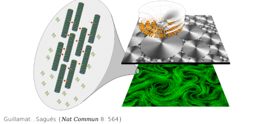 Taming Active Turbulence With Patterned Soft Interfaces Biofísica