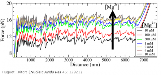 Derivation Of Nearest Neighbor Dna Parameters In Magnesium From Single