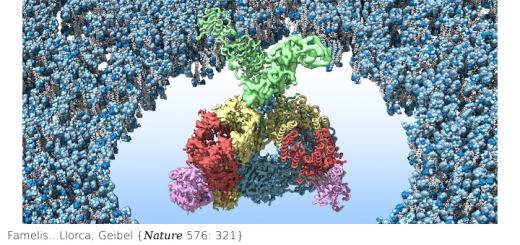 Architecture Of The Mycobacterial Type Vii Secretion System Biofísica